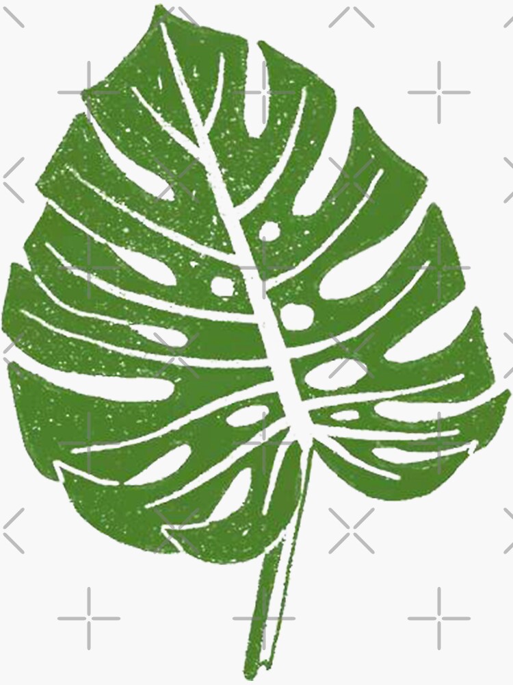 "Aesthetic Green Leaf" Sticker for Sale by HaydenMillepied | Redbubble