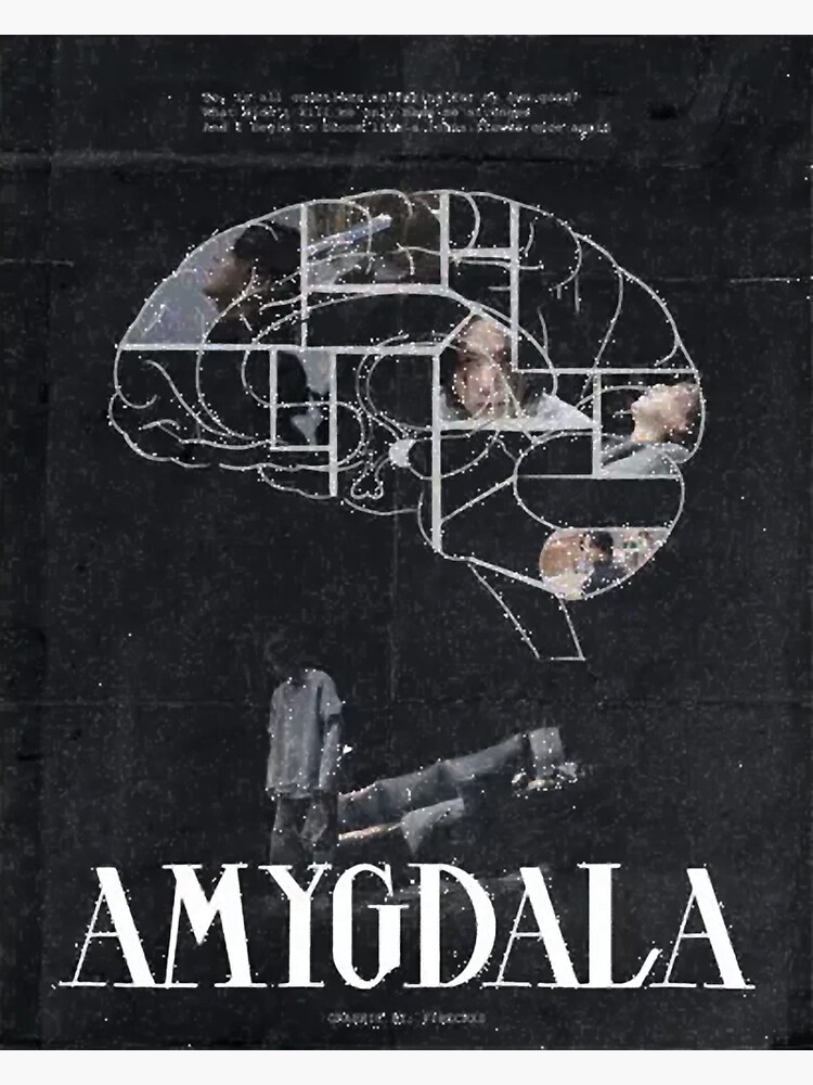 "AMYGDALA SUGA AGUST D" Sticker for Sale by MarauderPeters | Redbubble