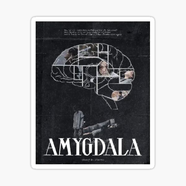 "AMYGDALA SUGA AGUST D" Sticker for Sale by MarauderPeters | Redbubble