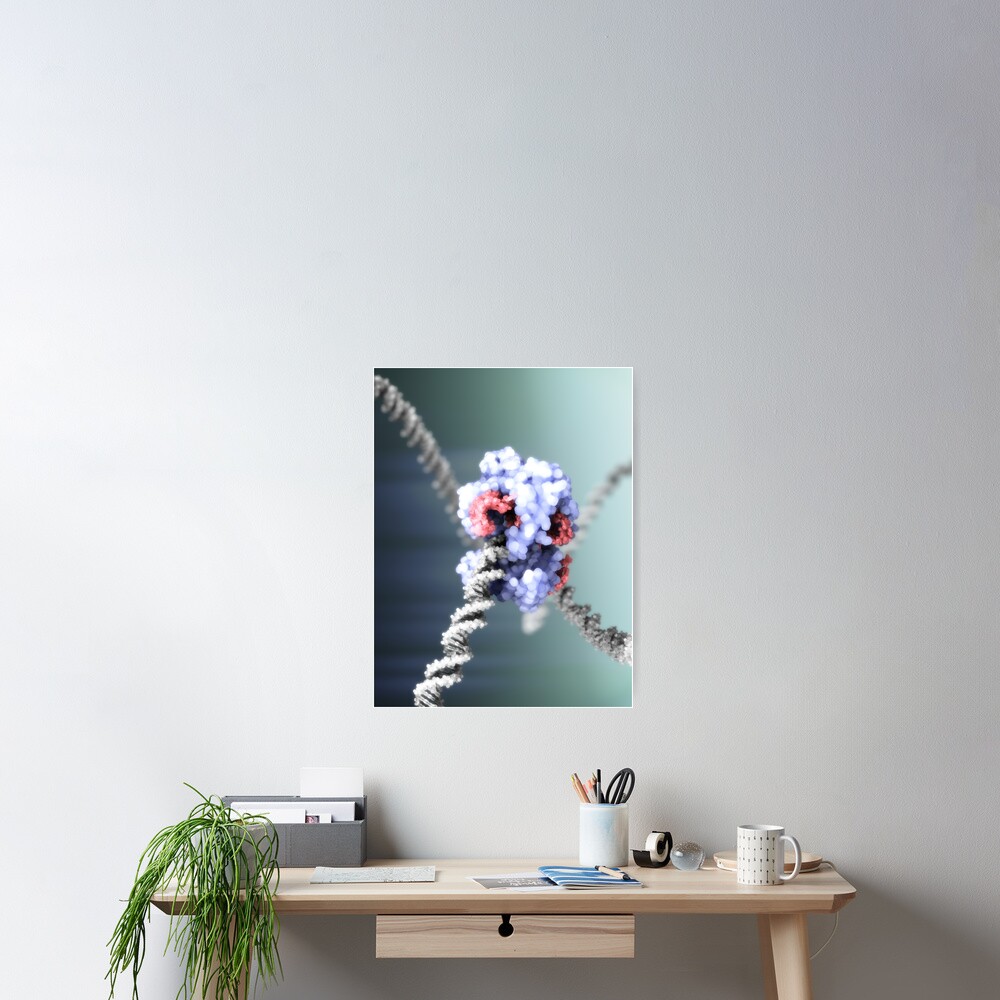 "CRISPR-Cas9 Gene Editing Complex" Poster for Sale by equinoxgraphics ...