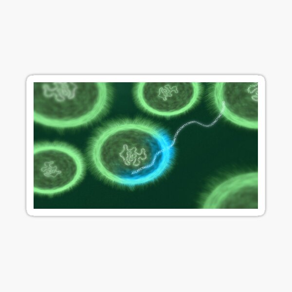 "Bacterial DNA Transfer" Sticker for Sale by equinoxgraphics | Redbubble