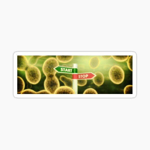 "Signalling Pathway Controlling Yeast Budding" Sticker for Sale by ...