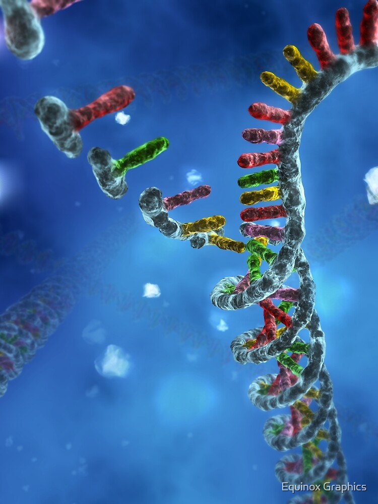 "DNA Assembly" Poster by equinoxgraphics | Redbubble