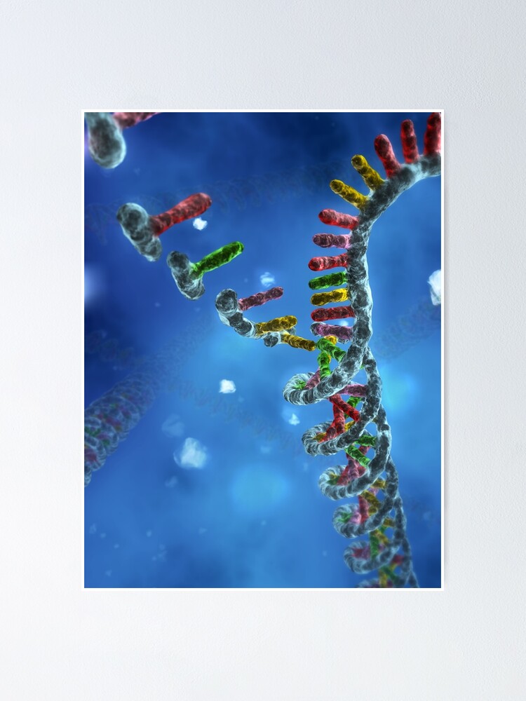 "DNA Assembly" Poster by equinoxgraphics | Redbubble