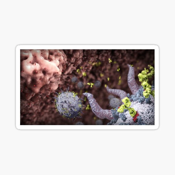 " T-cells Attack Cancer Cell" Sticker for Sale by equinoxgraphics ...