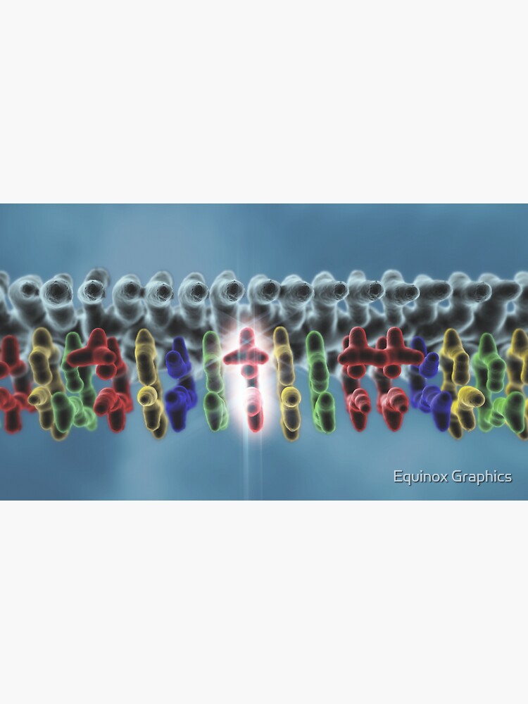 "DNA Point Mutation" Sticker for Sale by equinoxgraphics | Redbubble