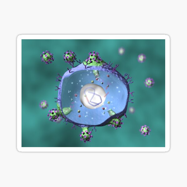 "HIV Replication" Sticker by equinoxgraphics | Redbubble