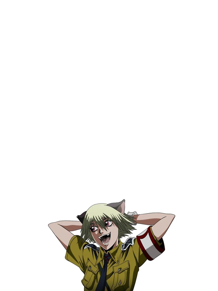 Schrodinger Hellsing