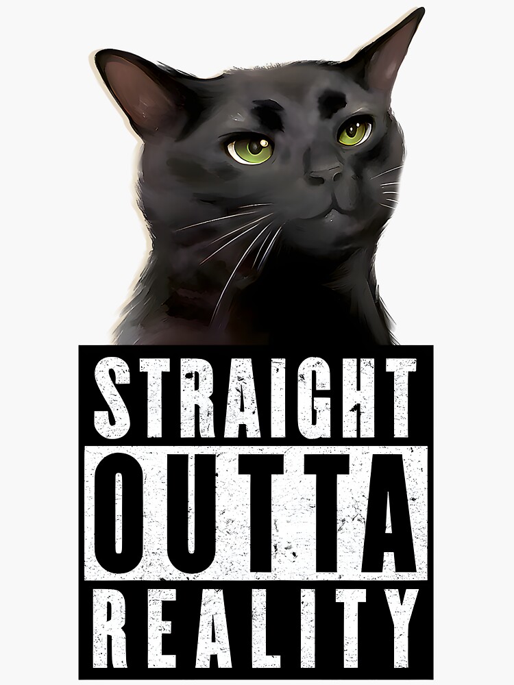 "Black Cat Zoning Out Straight Outta Reality Cat Meme" Sticker for Sale ...