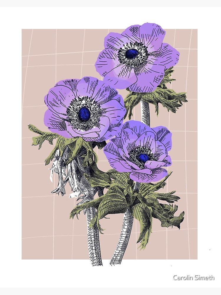 "Anemones in purple" Art Board Printundefined by Carolin Simeth | Redbubble
