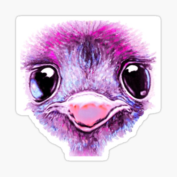 "EMU cute baby animals big eyes" Sticker by Julieford | Redbubble