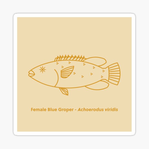 "Adorable Female Blue Groper in Golden Yellow on Vanilla" Sticker for ...