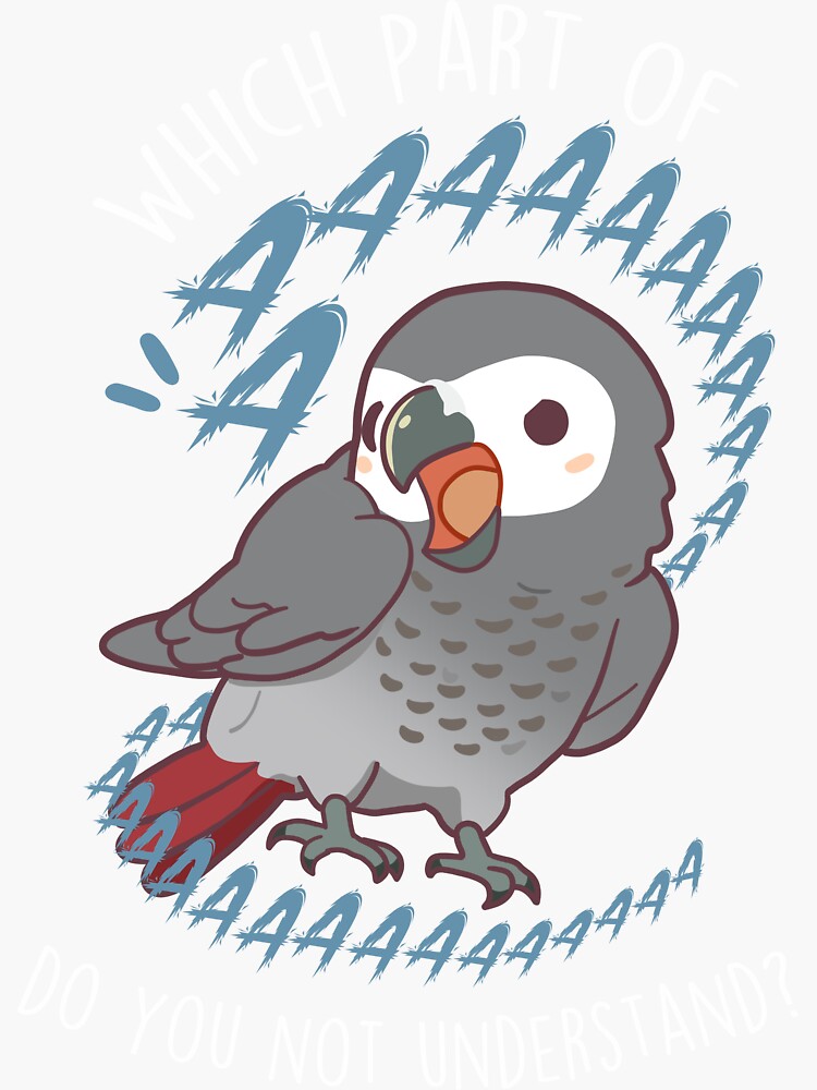 "African Grey Parrot Aaaa" Sticker for Sale by Clara Hollins | Redbubble