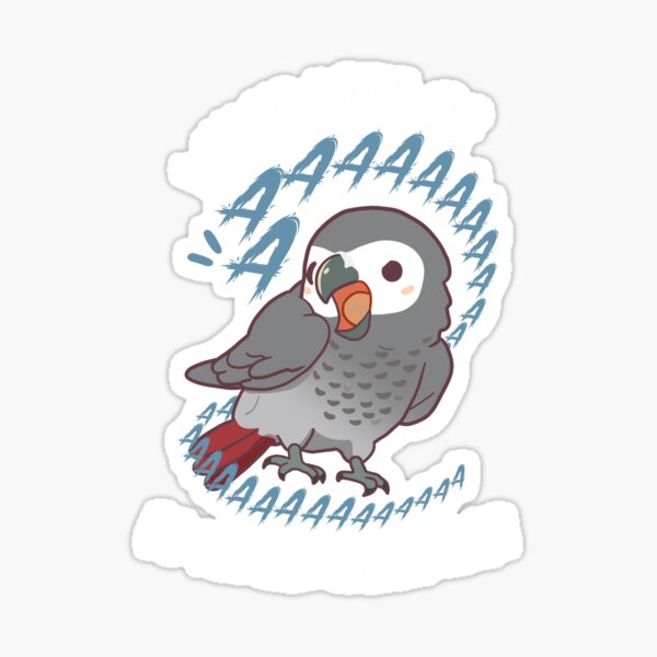 "African Grey Parrot Aaaa" Sticker for Sale by Clara Hollins | Redbubble