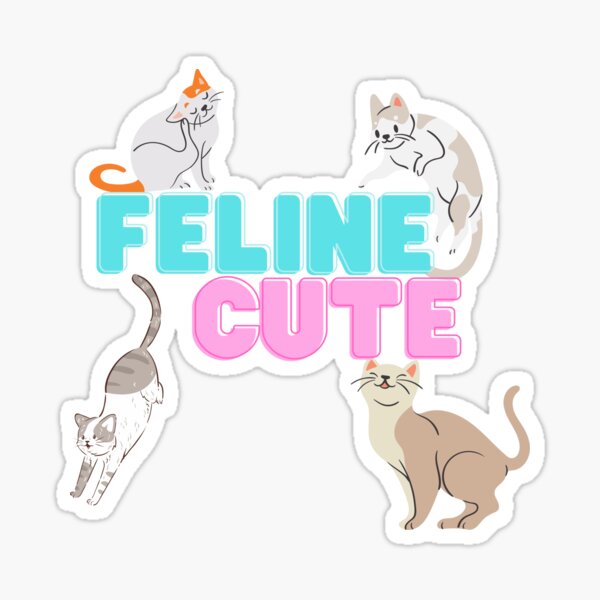 "Feline Cute" Sticker for Sale by Juniorw7111 | Redbubble