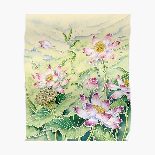 "Lotus Flower" Poster by LynneHenderson | Redbubble