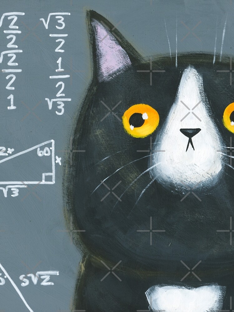 "Maths Cat" A-Line Dress for Sale by kilkennycat | Redbubble