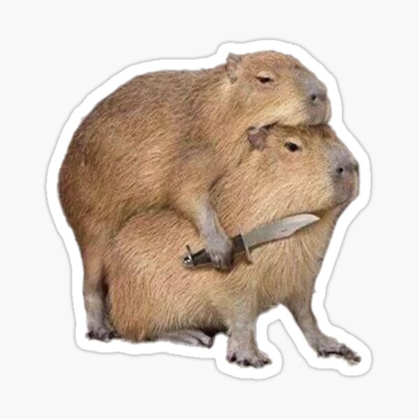 "Capybara holding a knife sticker" Sticker for Sale by mhudakova ...