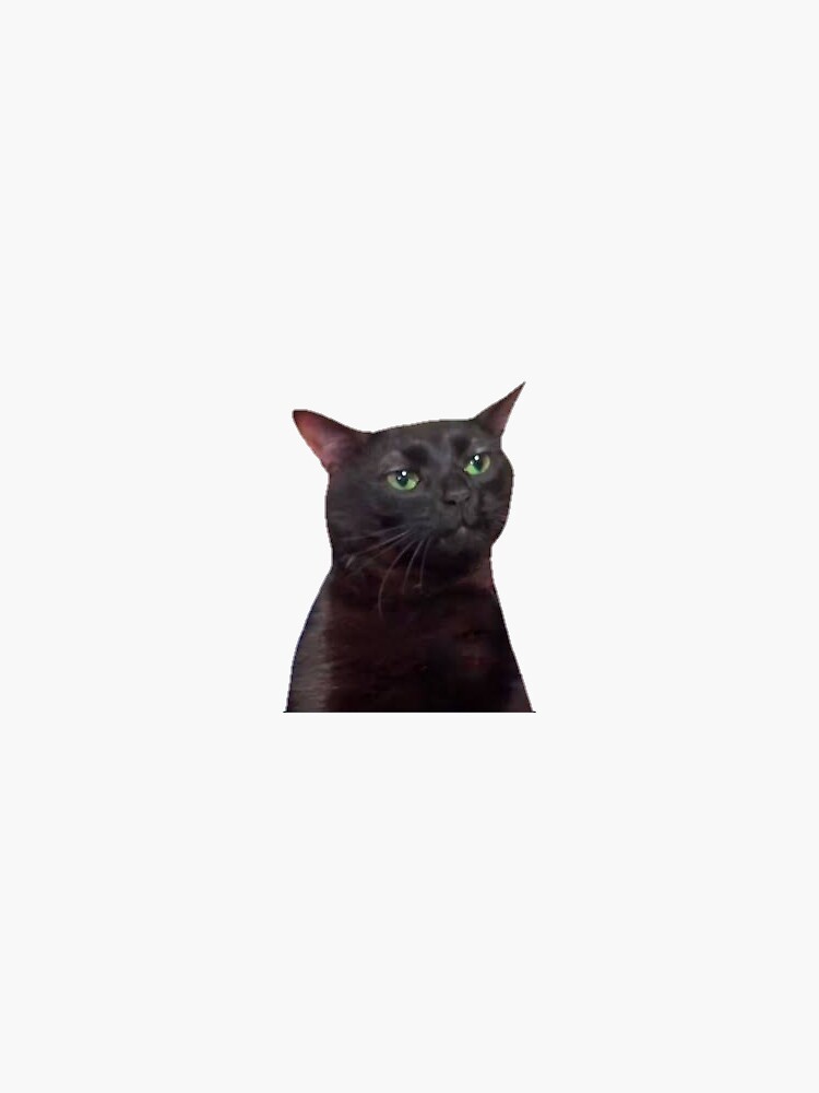 "Black Cat Zoning Out" Sticker for Sale by DiverAstronaut | Redbubble