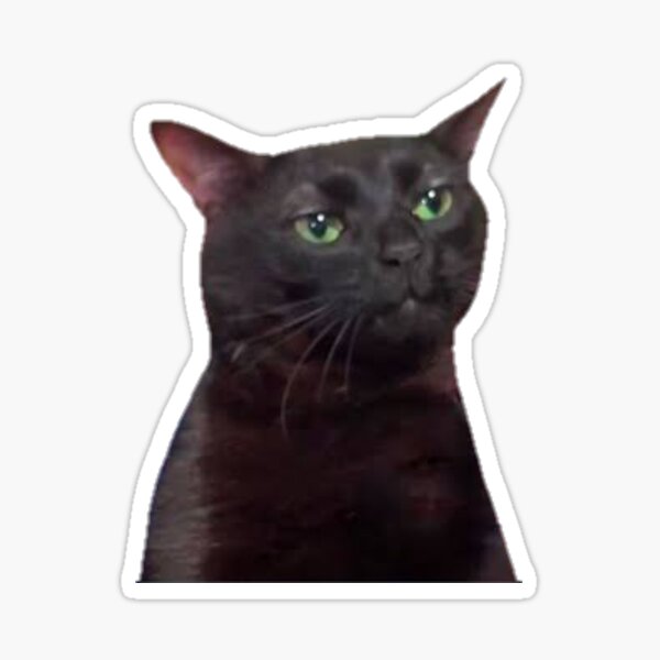 "Black Cat Zoning Out" Sticker for Sale by DiverAstronaut | Redbubble