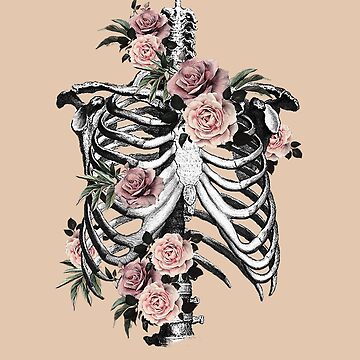 "Anatomy Art, ribcage full of pink roses and leaves, thoracicy, leaves ...