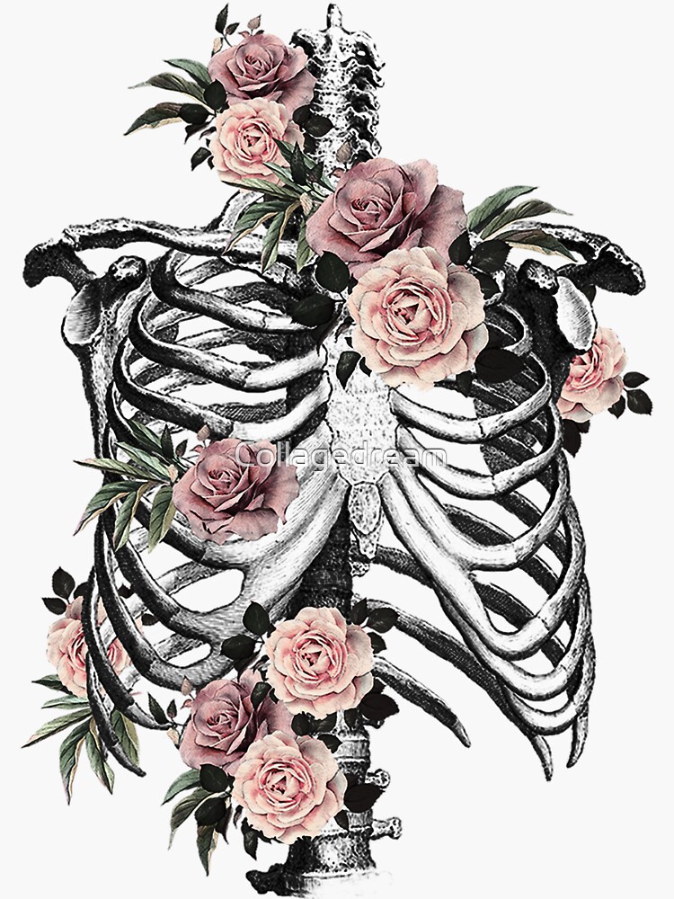 "Anatomy Art, ribcage full of pink roses and leaves, thoracicy, leaves ...