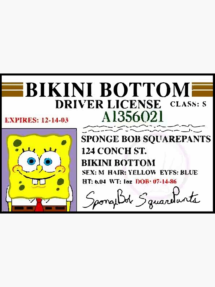 "Spongebob License" Sticker for Sale by darcyfeeley | Redbubble