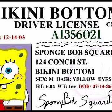 "Spongebob License" Sticker for Sale by darcyfeeley | Redbubble