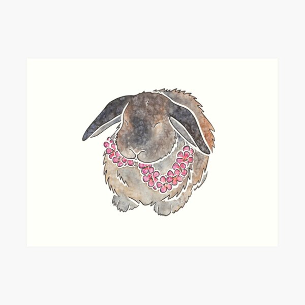 Mini Lop Rabbit Art Prints | Redbubble
