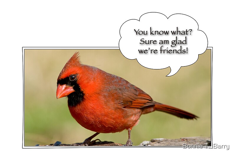 "Dedicated to all my Red Bubble friends" by Bonnie T. Barry | Redbubble