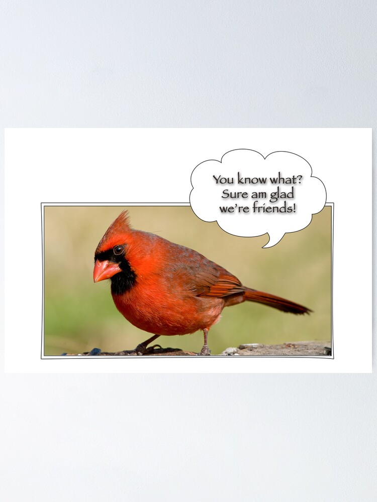 "Dedicated to all my Red Bubble friends" Poster by Miracles | Redbubble