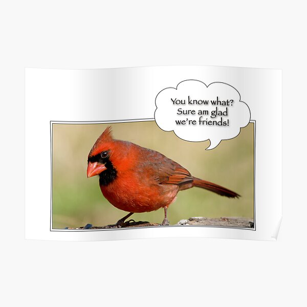 "Dedicated to all my Red Bubble friends" Poster by Miracles | Redbubble