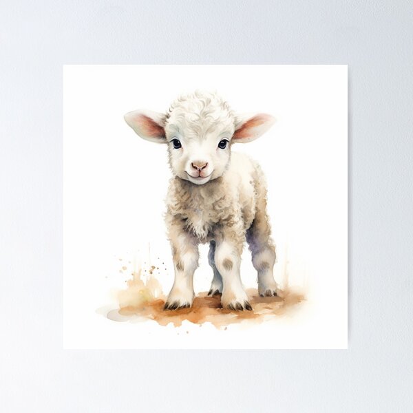 "Sheep Lover - Cute Sheep" Poster for Sale by baby-animal-art | Redbubble