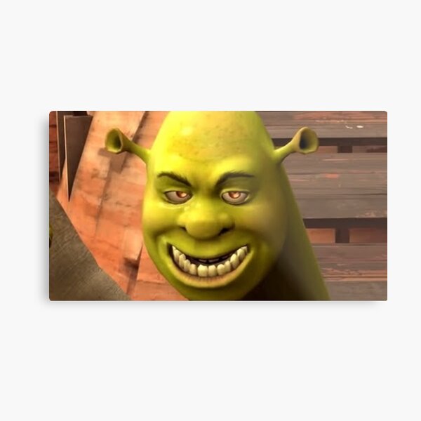 "creepy shrek" Metal Print for Sale by Alexis6214 | Redbubble