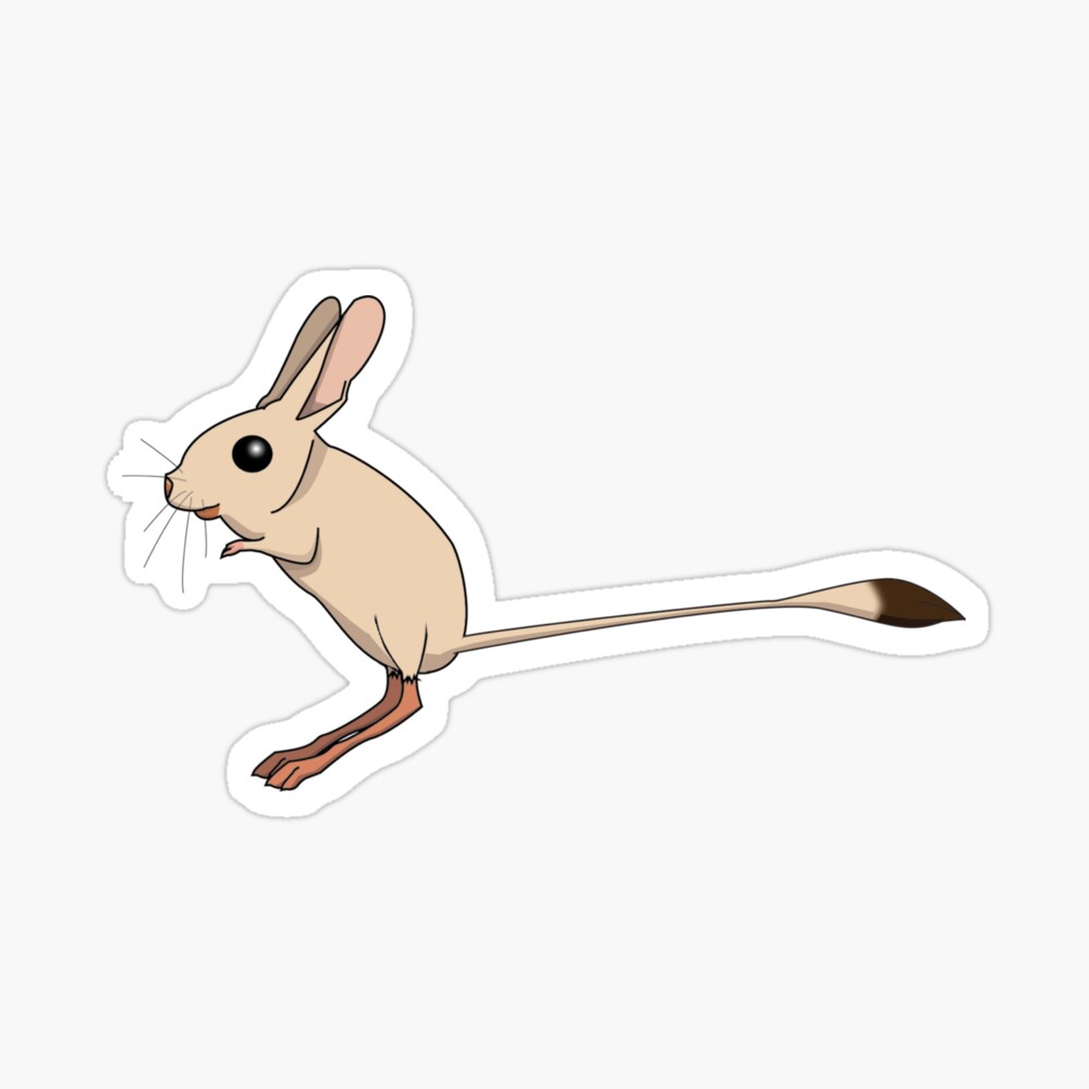 Gif Di Gerboa Pigmeo CULTURA GENERAL | Baamboozle Baamboozle | The