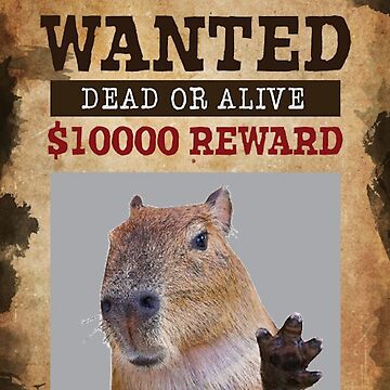"Wanted Capybara" Sticker for Sale by Capybara Jokes | Redbubble