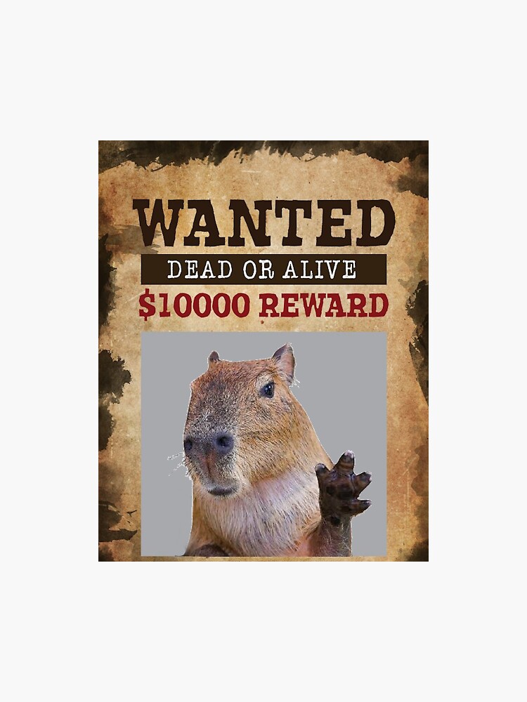 "Wanted Capybara" Sticker for Sale by Capybara Jokes | Redbubble