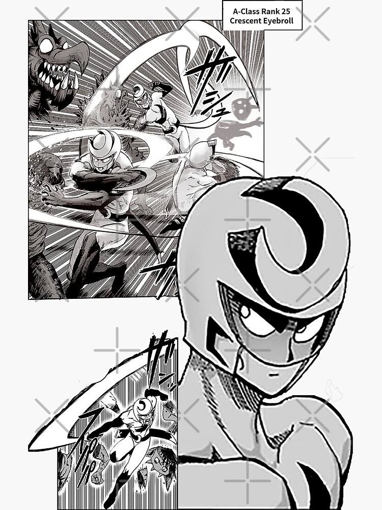 "A-Class pro hero, rank 25 of the Hero Association." Stickerundefined ...