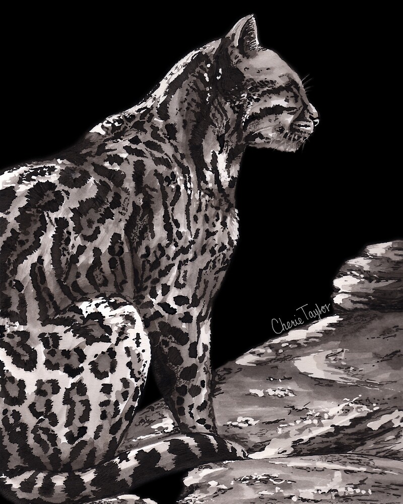 "Ocelot Print" by Cherie Taylor | Redbubble