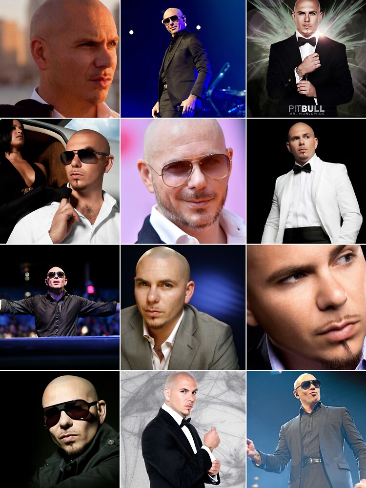 Pitbull The Singer Kids