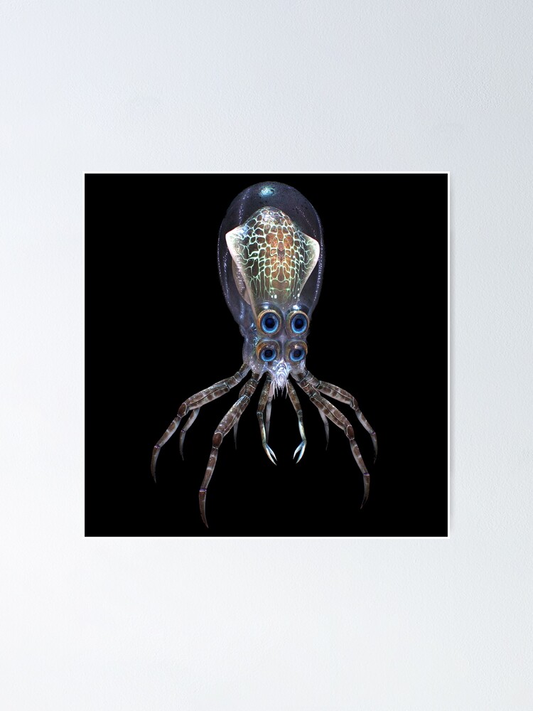 "Subnautica - Crabsquid" Poster for Sale by ImmortalFoxy | Redbubble