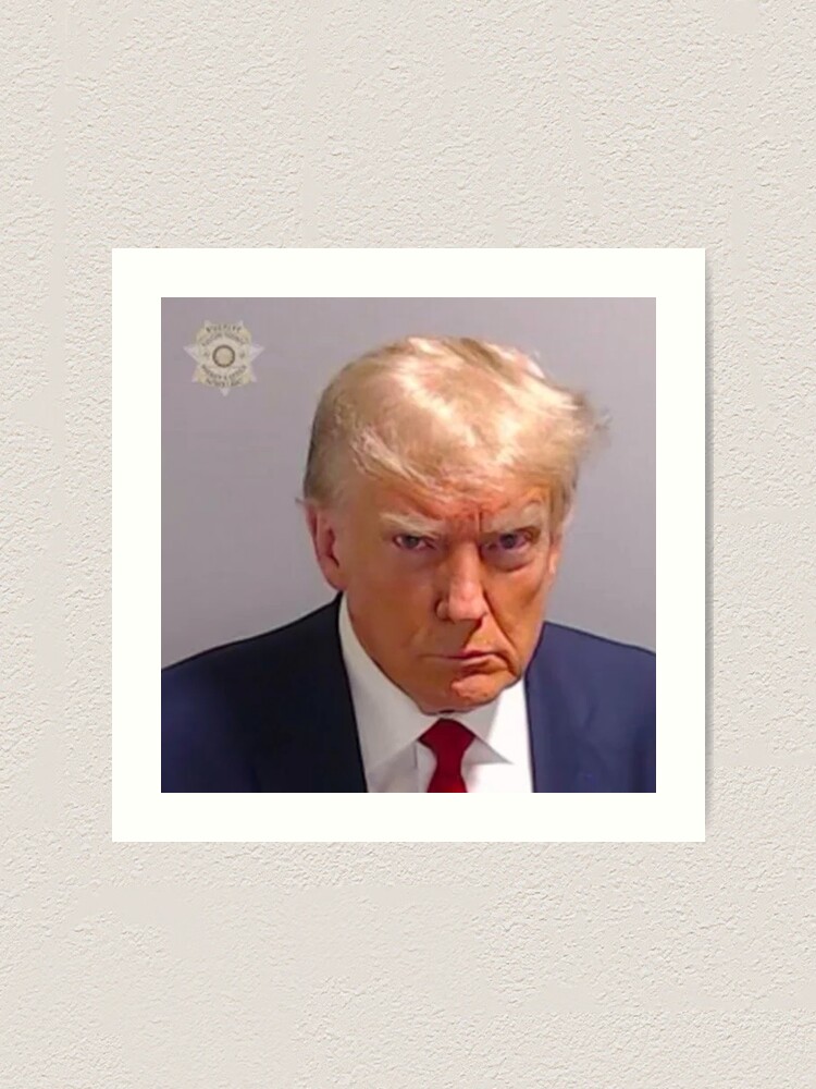 "Trump Mugshot" Art Print for Sale by HarrisonO11 | Redbubble