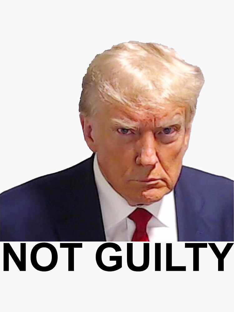 "Donald Trump Mugshot - Not Guilty" Sticker for Sale by LightningJelly ...