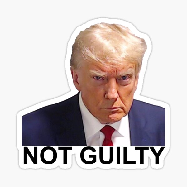 "Donald Trump Mugshot - Not Guilty" Sticker for Sale by LightningJelly ...