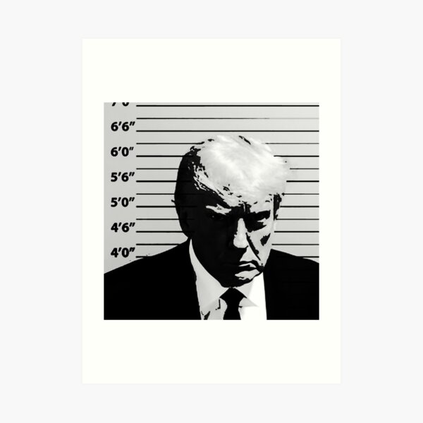 "Official Trump Mugshot, Real Trump Mugshot" Art Print for Sale by ...