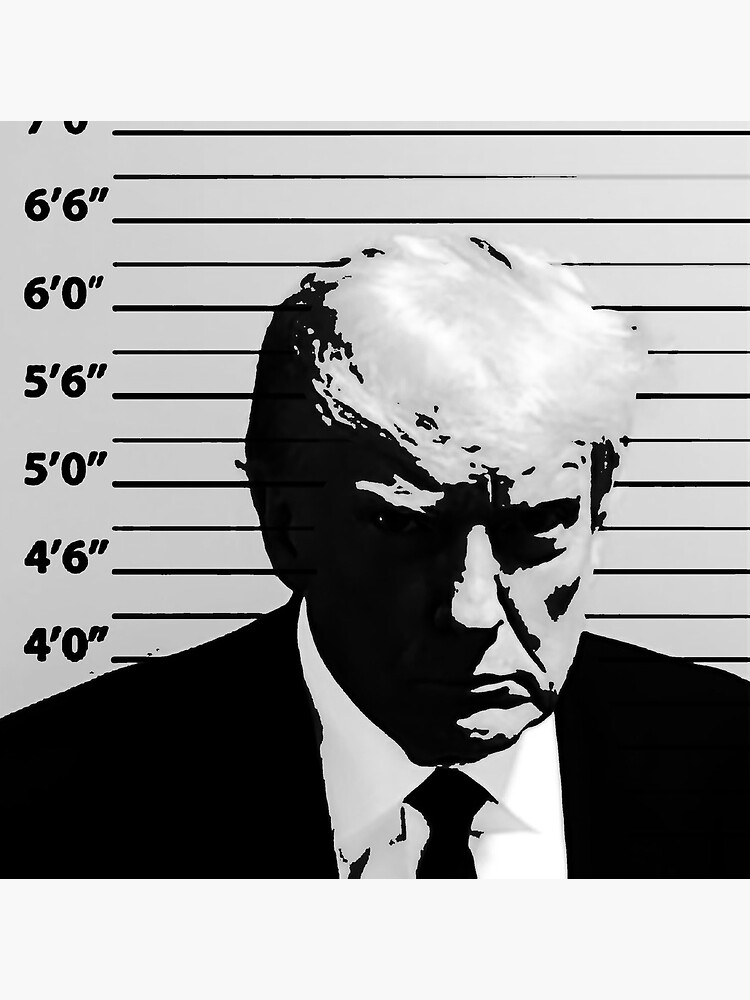 "Official Trump Mugshot, Real Trump Mugshot" Art Print for Sale by ...