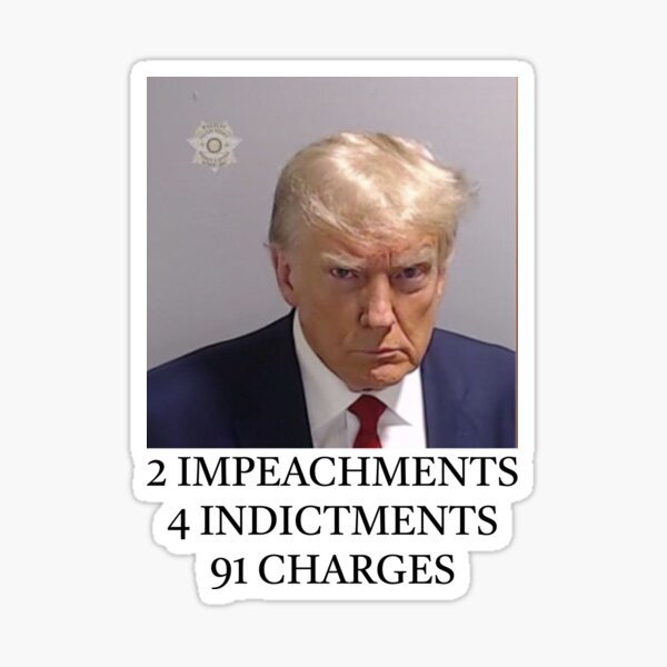 "Trump Mugshot "Charges"" Sticker for Sale by coolguy9001 | Redbubble
