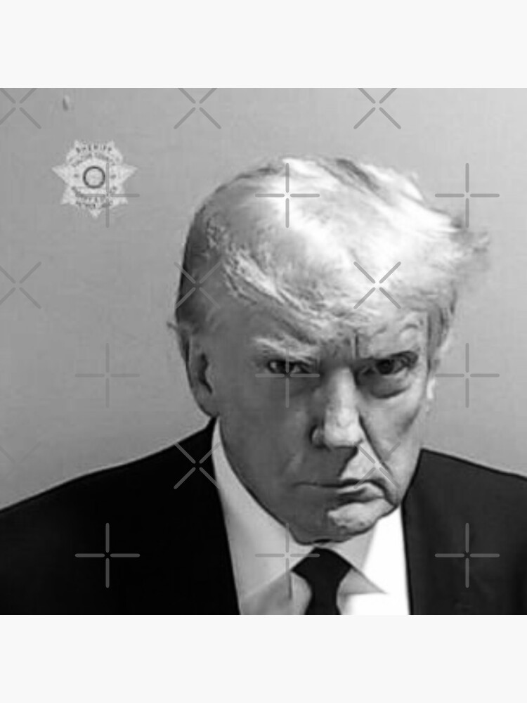 "45th President Donald Trump Official Mugshot Free Trump" Sticker for ...