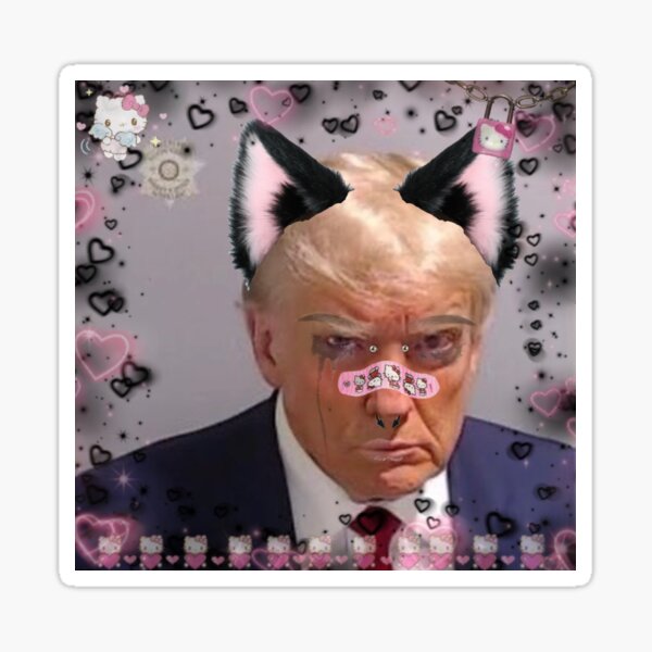 "Donald Trump Mugshot Emo Meme" Sticker for Sale by piggysmallz | Redbubble