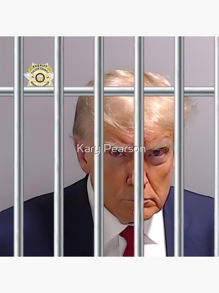 "Trump Mugshot" Sticker for Sale by Kary Pearson | Redbubble